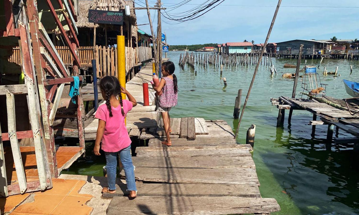 Lago de Maracaibo: el verdín enferma a Santa Rosa de Agua