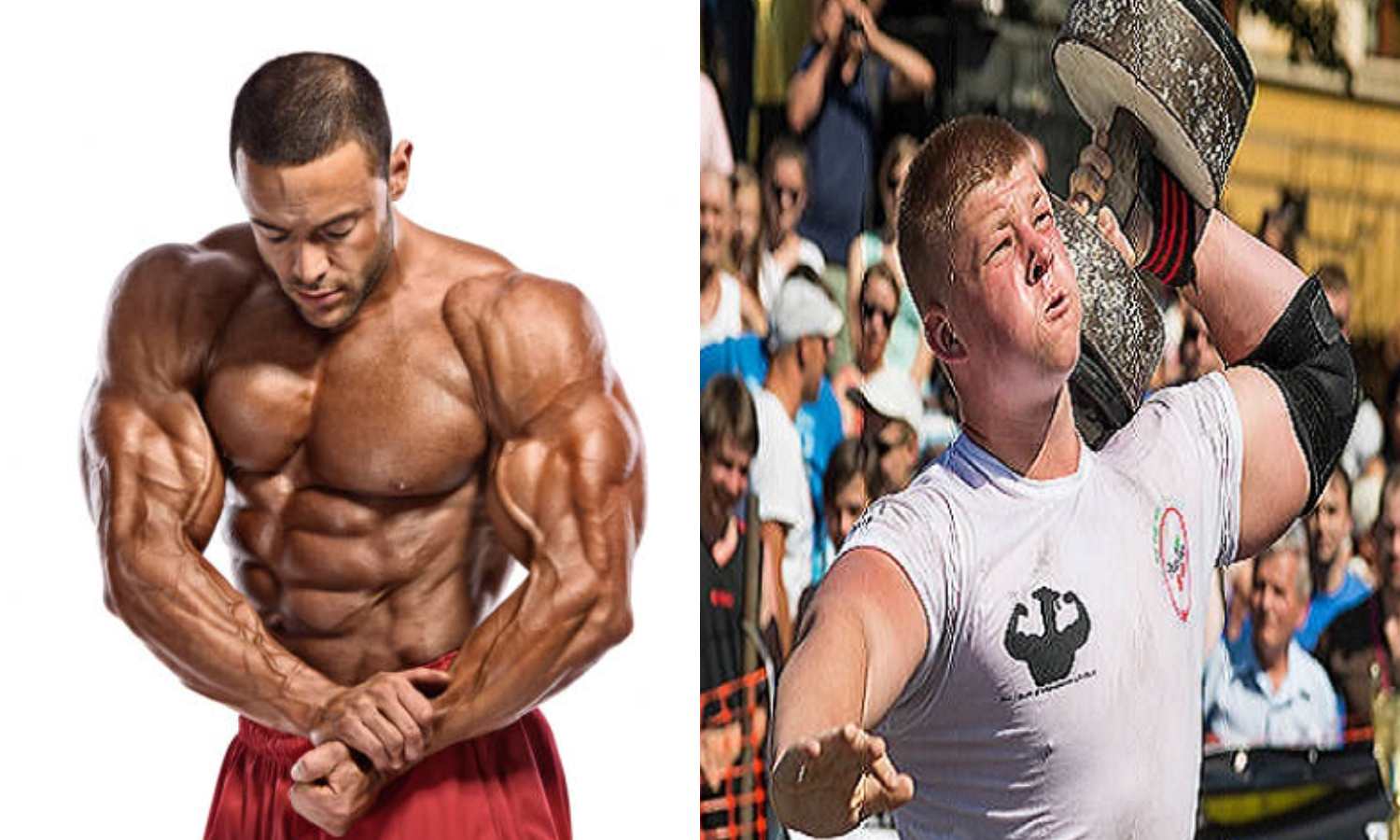 Masa Muscular vs Fuerza: ¿tener músculos significa ser fuerte?