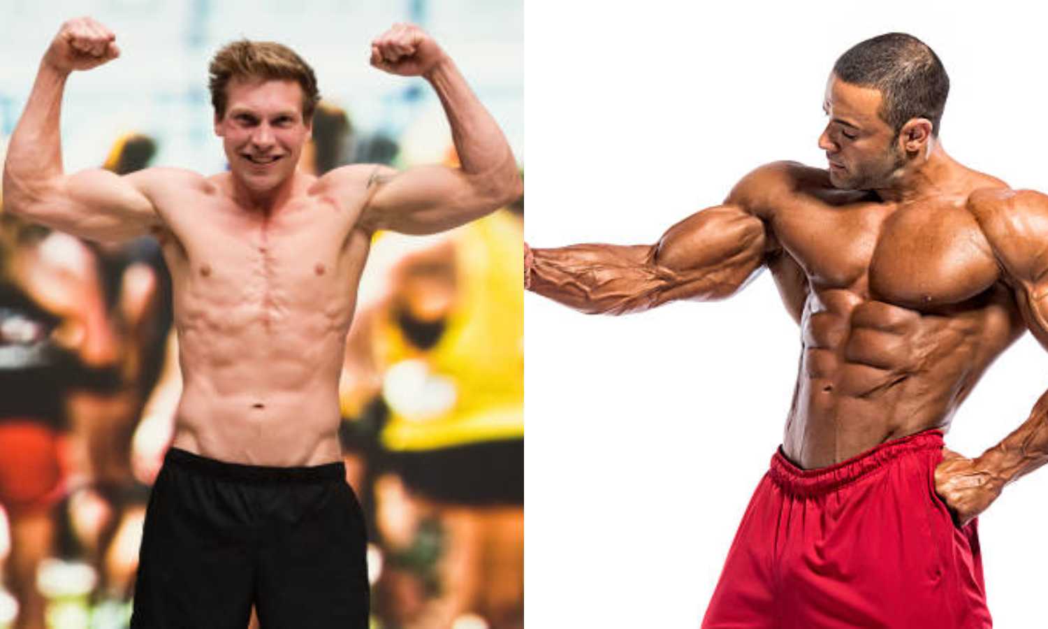 Masa Muscular vs Fuerza: ¿tener músculos significa ser fuerte?